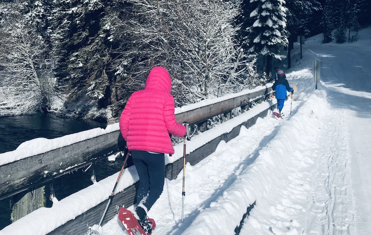 Tips for a Successful and Fun Snowshoe Excursion Near Willamette Pass ...