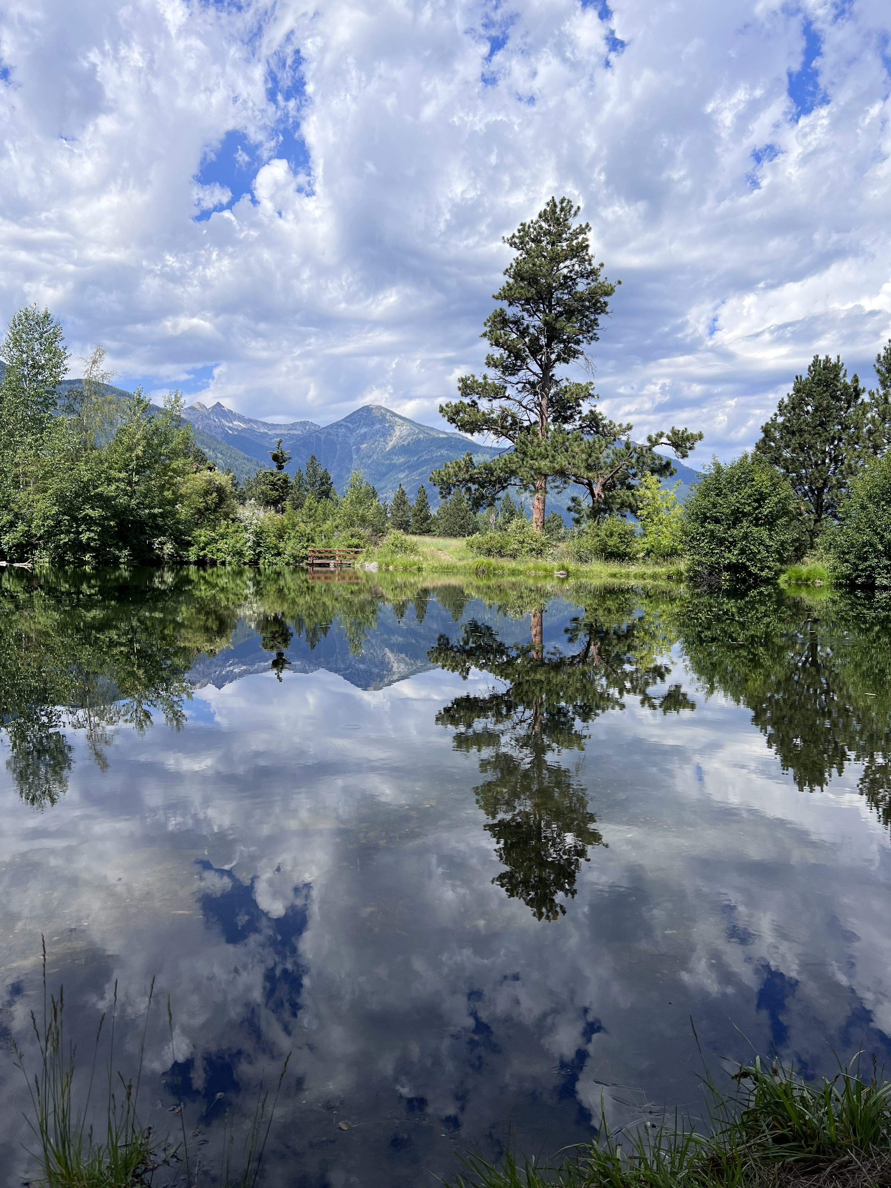 4 Amazing Family-Friendly Hikes in the Wallowa Mountains – Tournesol ...