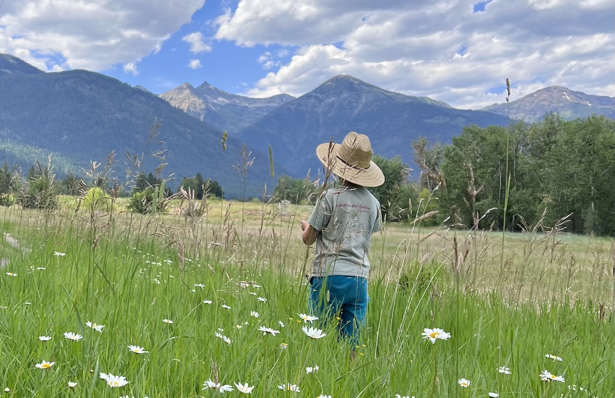 4 Amazing Family-Friendly Hikes in the Wallowa Mountains – Tournesol ...