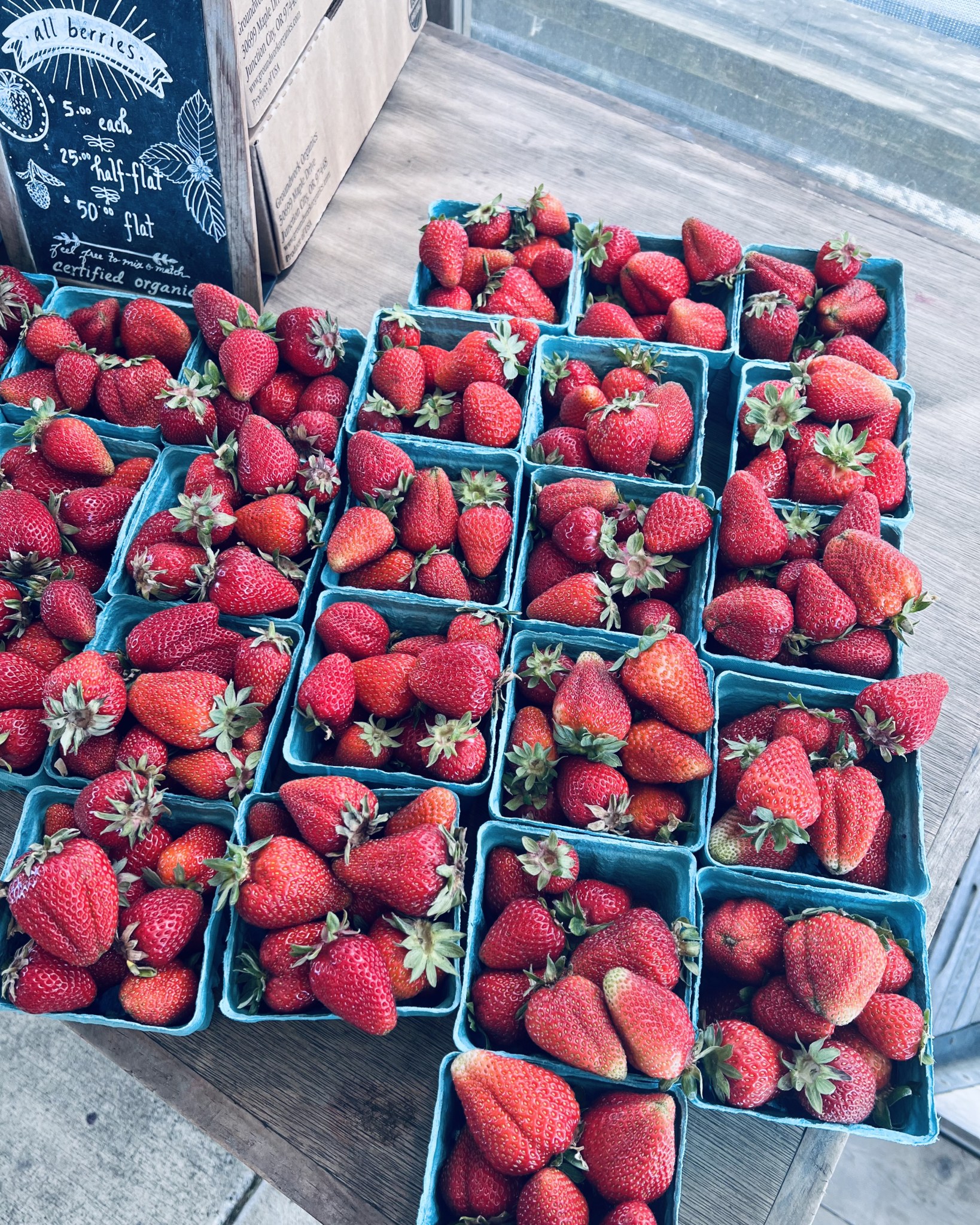 Our Top 3 Organic U-Pick Berry Farms Near Eugene – Tournesol Adventures