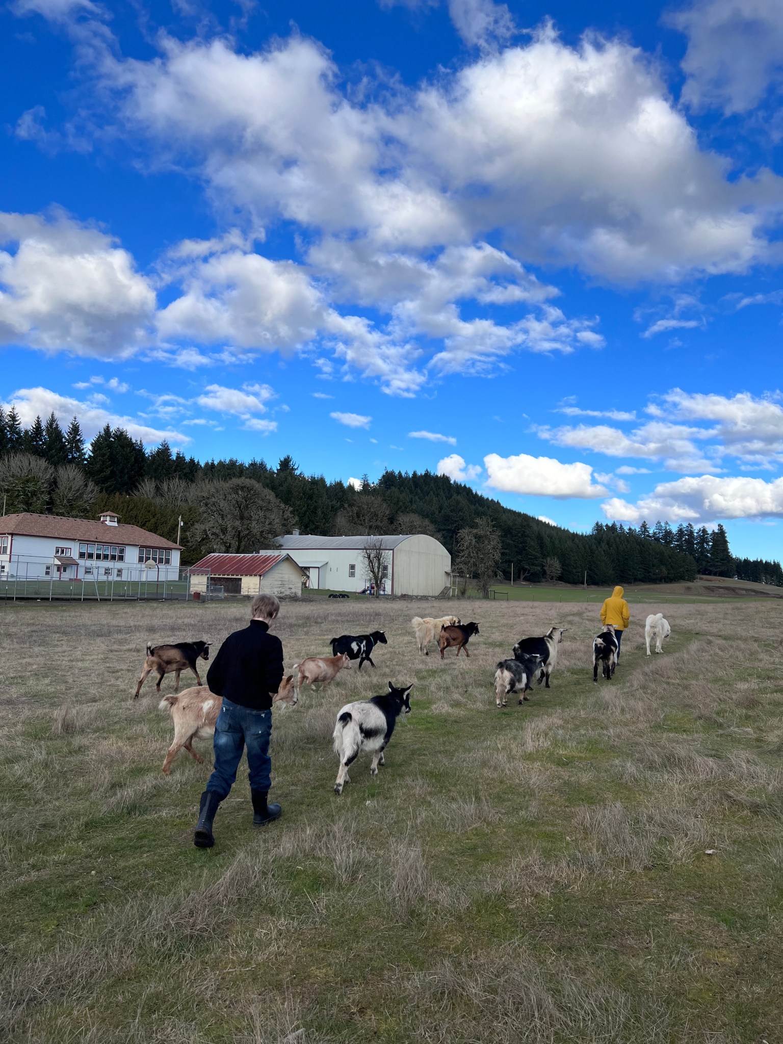Family-Friendly Farms and Spring Hikes to Explore in Corvallis, Oregon ...
